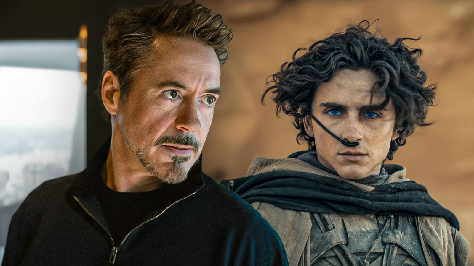 Robert Downey Jr. Calls Timothee Chalamet as ‘One of The Greats’ Before ...
