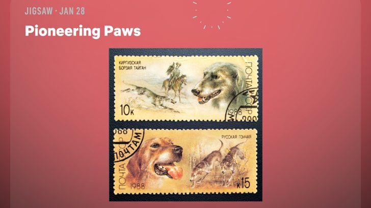 Netflix Puzzled Daily Games Solutions for Today (January 28, 2026)