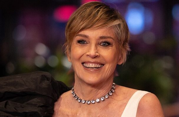 Euphoria Season 3: Who Is Sharon Stone? Age, Career, & Character Details