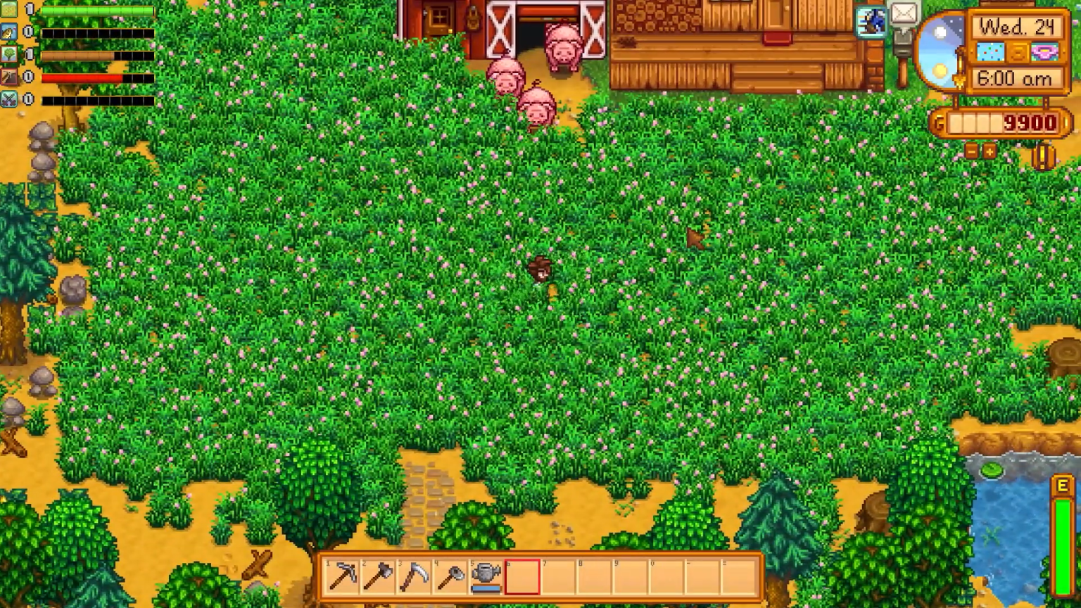 How to Get Truffles in Stardew Valley?