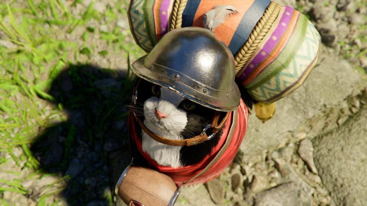How to Get Pet Armor in Crimson Desert?