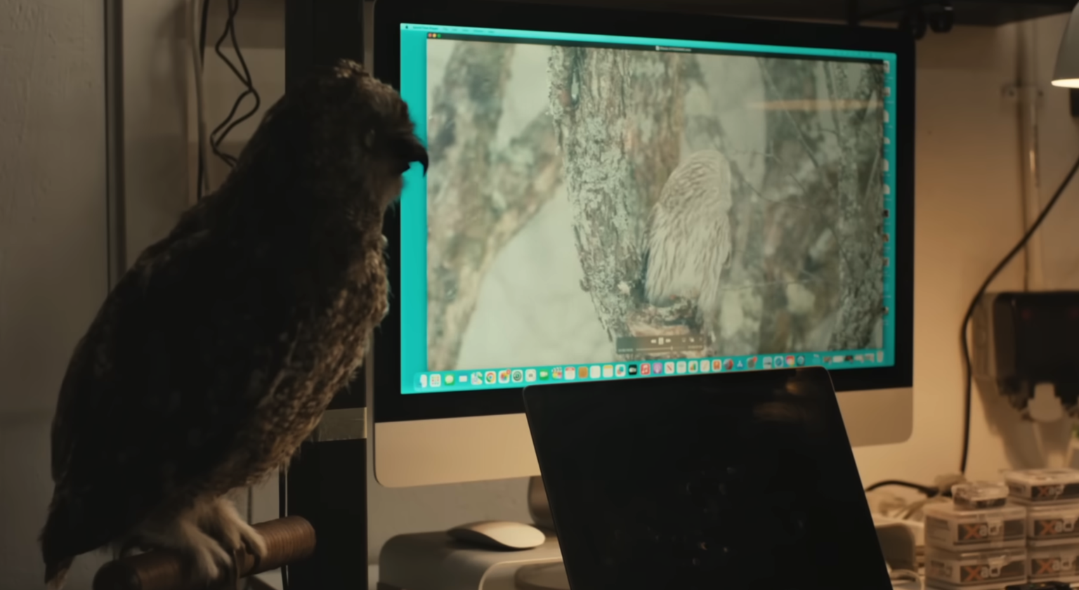 5 Key Takeaways from Harry Potter BTS ‘Finding Harry: The Craft Behind ...