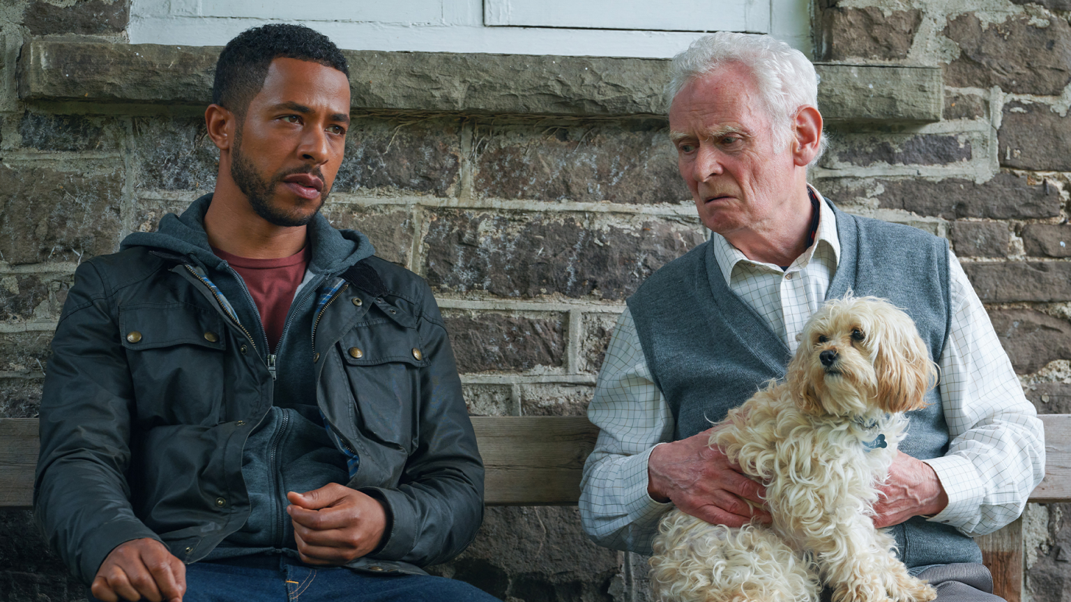 The Best Shows on AMC+ Right Now, Ranked (2026)