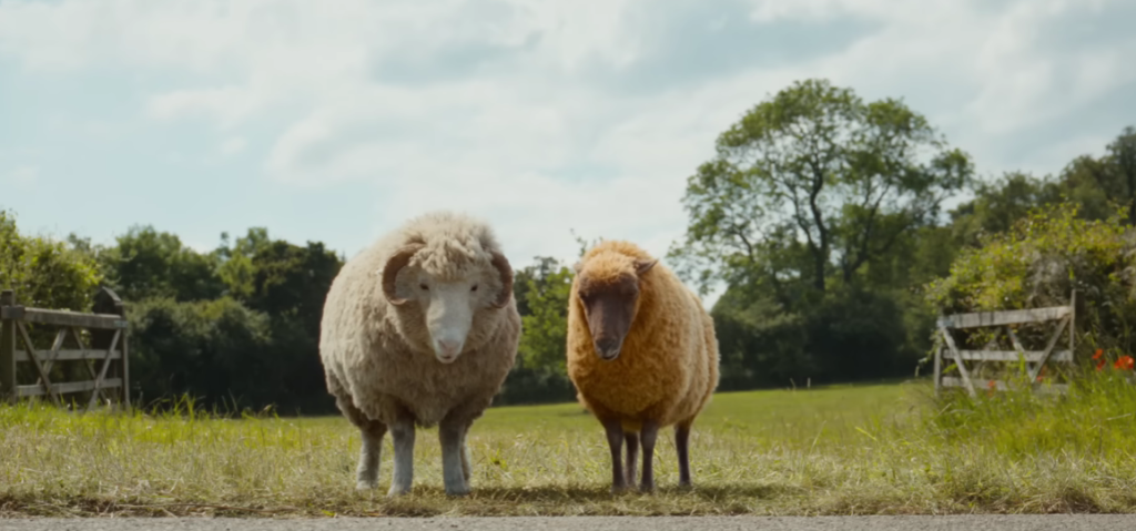 The Sheep Detectives Streaming: When and Where Will Hugh Jackman’s ...