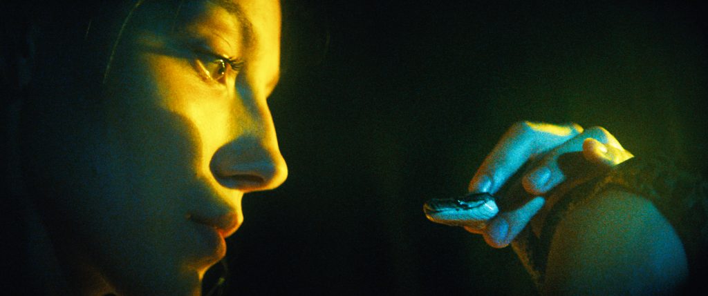 The Python Hunt Review: A Stunning Portrait of Floridian Chaos