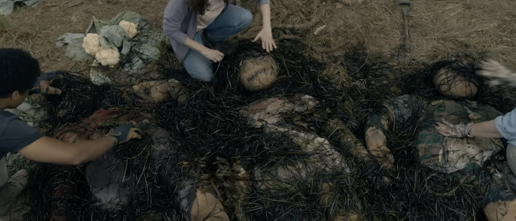From Season 4 Episode Guide: When Do New Episodes Release?